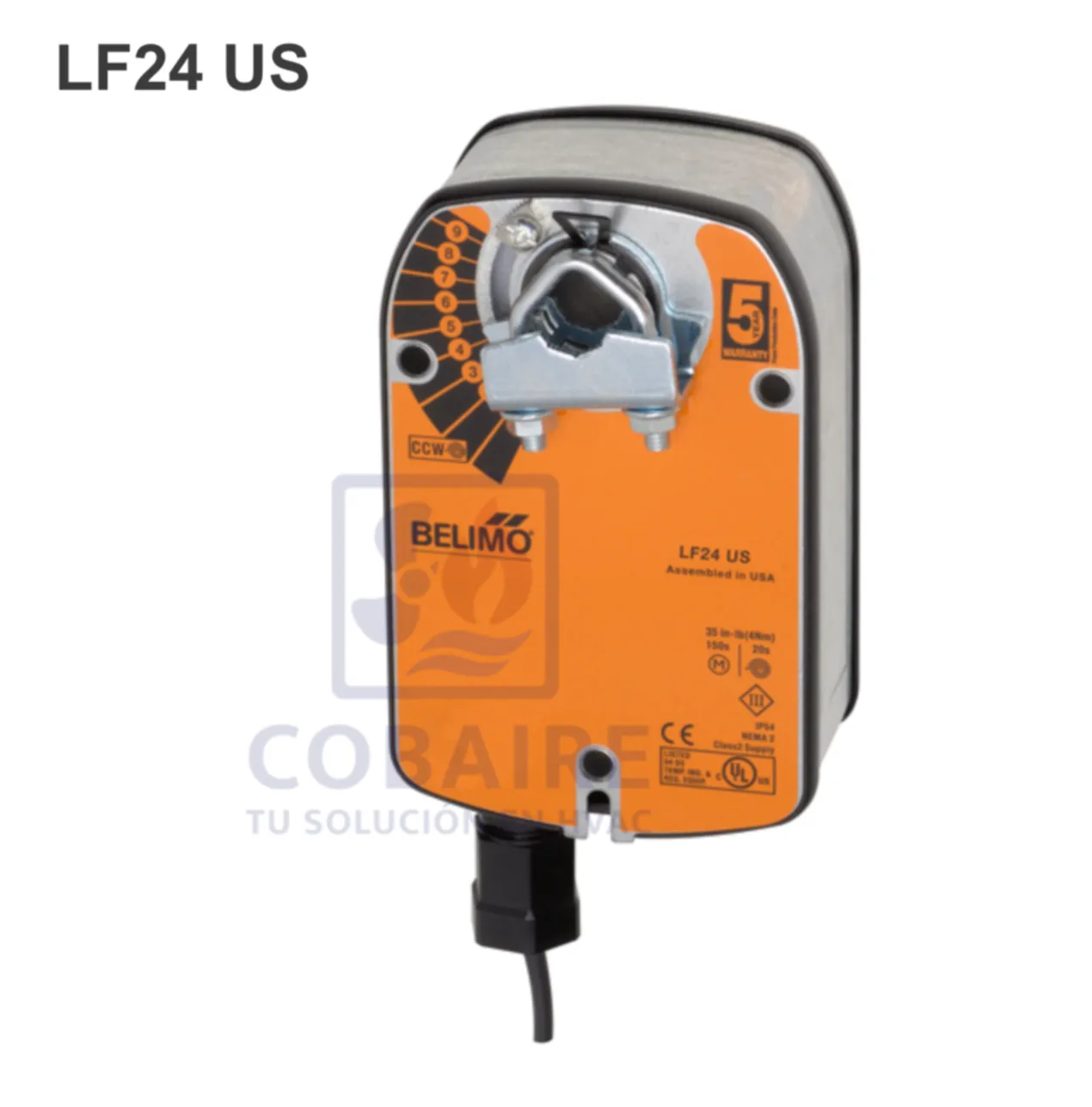 LF24