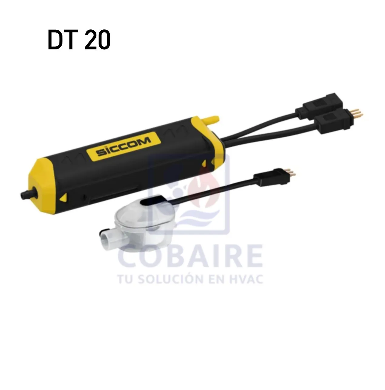 DT20